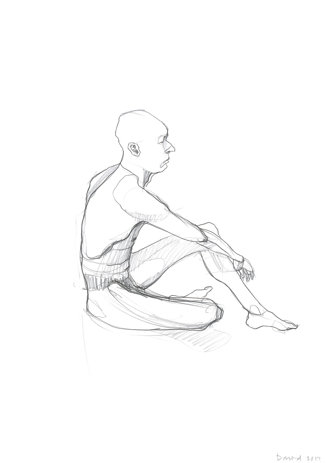 pencil drawings for sale – Carla Ruffino